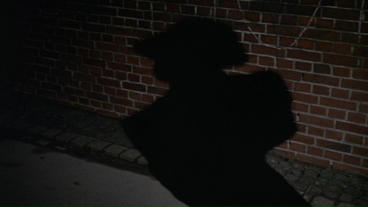 The Vampire of Hanover: THE TENDERNESS OF WOLVES (Ulli Lomel, 1973 ...