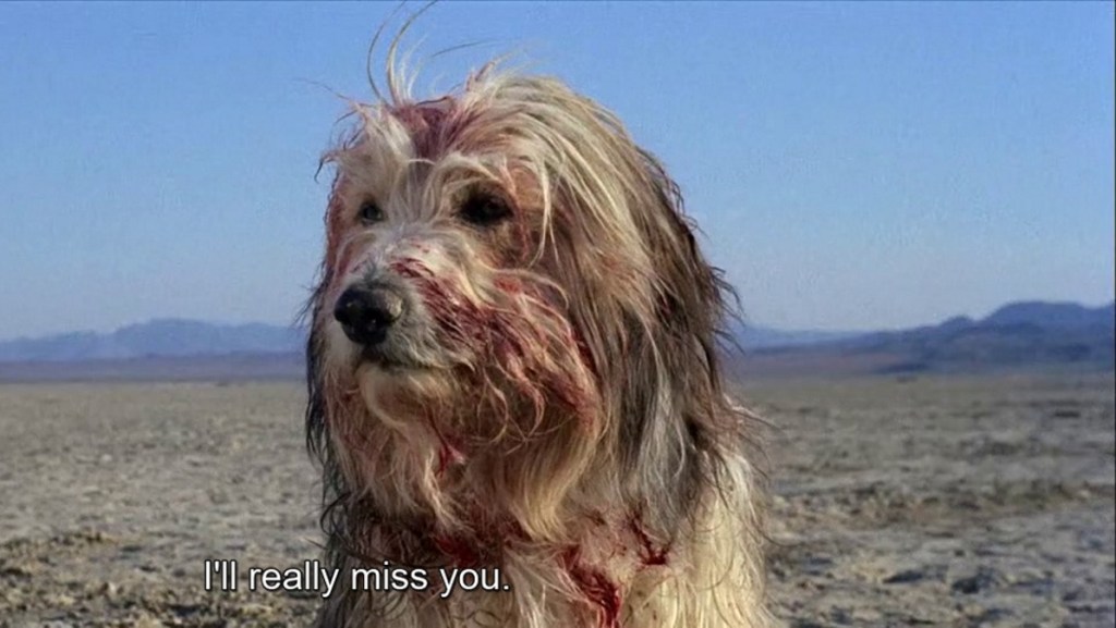 “Our women can’t get pregnant” A BOY AND HIS DOG (L.Q. Jones, 1975 ...