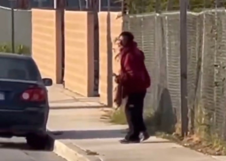 California Cannibalism: man arrested after reportedly eating a severed ...