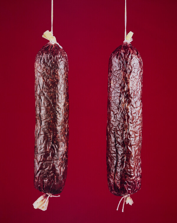 Scottish National Portrait Gallery – The Cannibal Guy